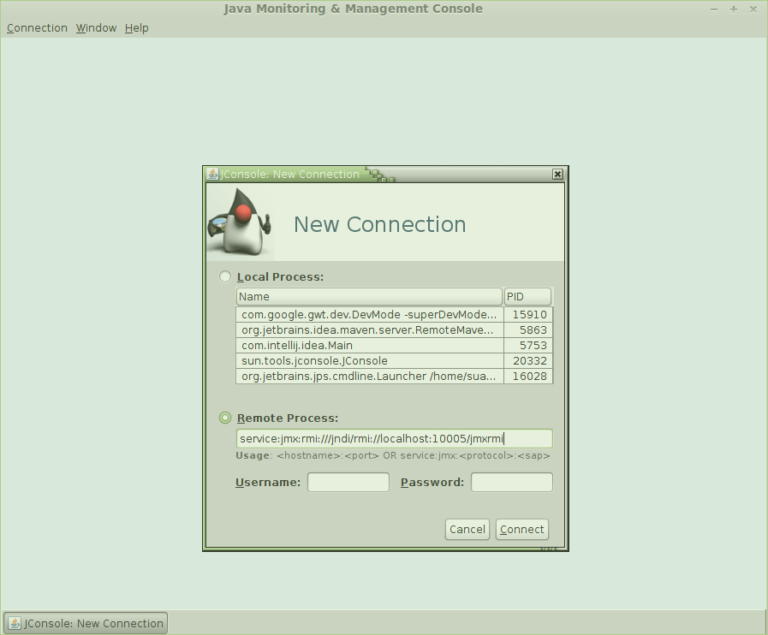 How To Connect A Java Profiler Like Visualvm Or Jconsole To A Remote Tomcat Running On Amazon